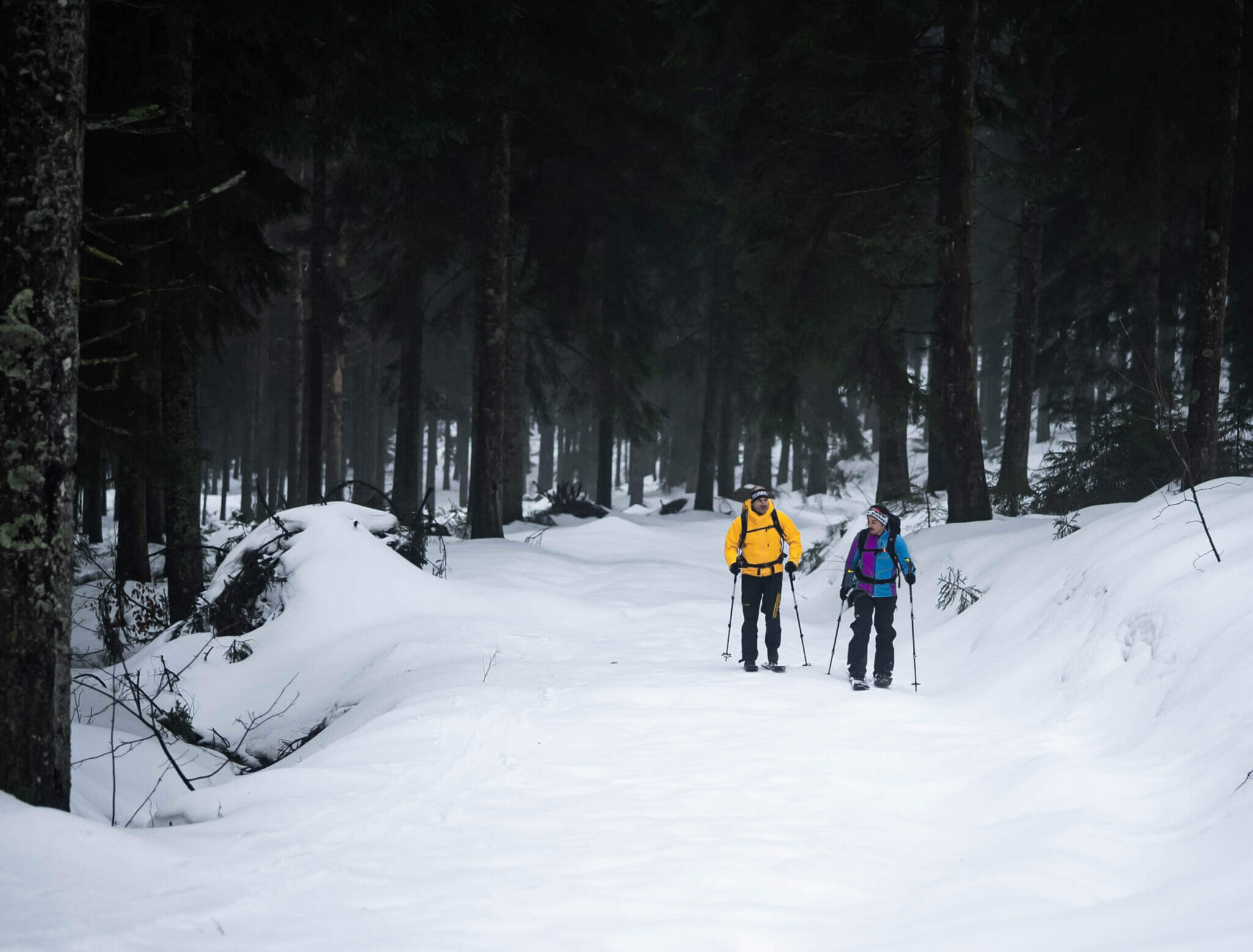 Splitboarding voor beginners: alles wat je moet weten